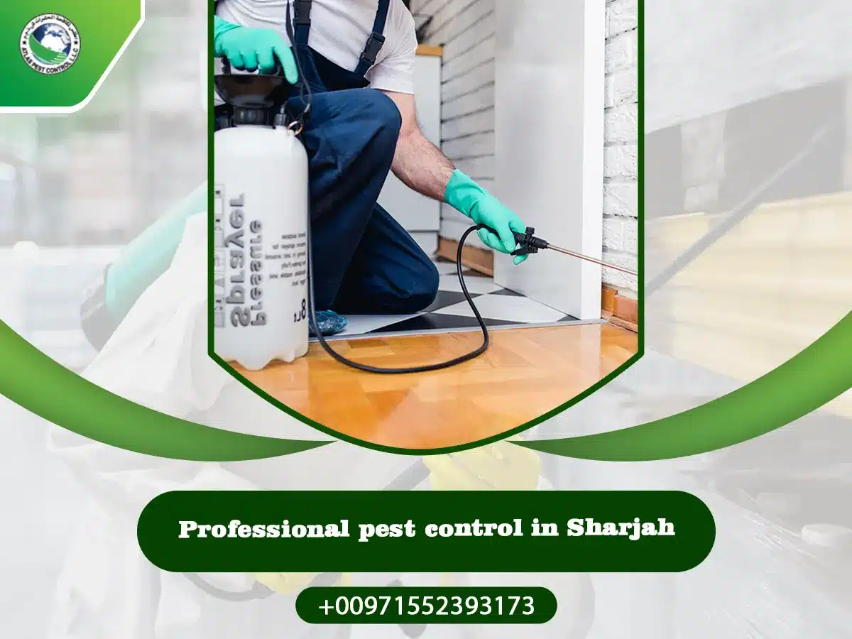 Professional pest control in Sharjah 2025-2026